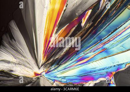 Colorful microscopic shot of Sucrose micro crystals in polarized light ...