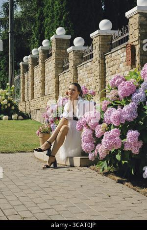 Pink hydrangea in the garden Stock Photo - Alamy