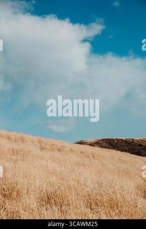 Mountain Trail of Aso, Kumamoto Prefecture, Japan Stock Photo - Alamy