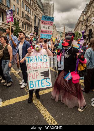The pride at play Stock Photo - Alamy