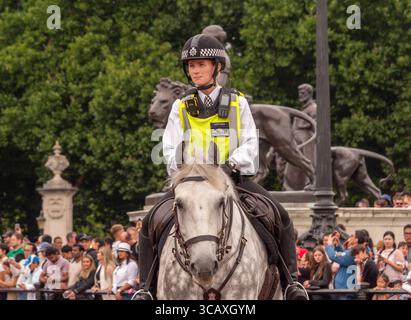 A Mounted Police Officer Outside Buckingham Palace, London, UK Stock ...