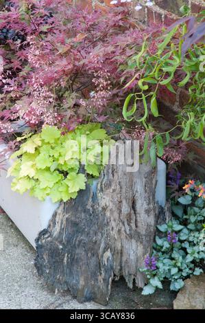 A corner of the Wildlife Friendly Garden in the TWIGS gardens in ...