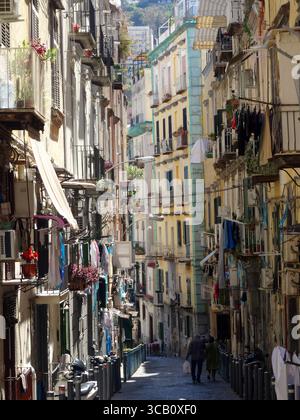 Naples is the regional capital of Campania and the third-largest city ...