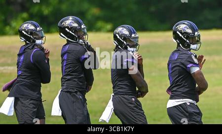 Baltimore Ravens quarterbacks Tyler Huntley, right, and Trace McSorley ...