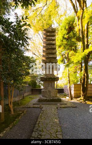 Stone garden path with moss in early morning light Stock Photo - Alamy