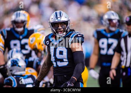 Carolina Panthers linebacker Frankie Luvu (49) on the sideline during ...