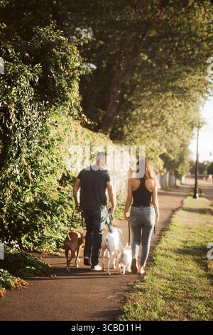 A happy family of three walking dogs in the park high quality photo ...