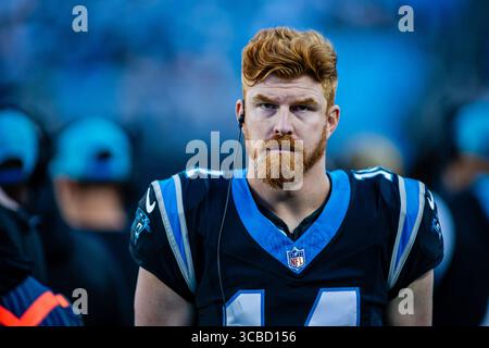 Carolina Panthers quarterback Andy Dalton (14) drops back to pass ...