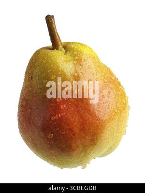 Big juicy yellow red pear, isolated Stock Photo - Alamy