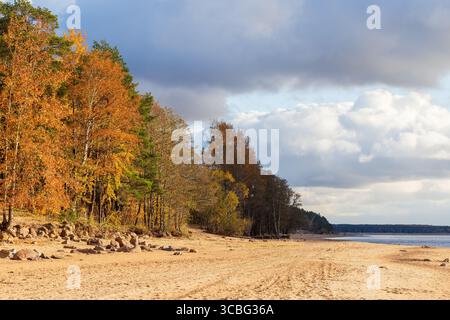Serene sandy beach with autumn foliage near a calm lake and forested ...