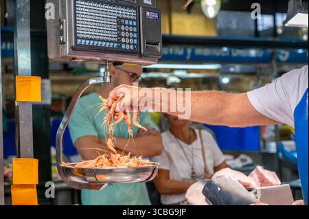 Man weighing out prawns at local food market in Jerez de la Frontera ...