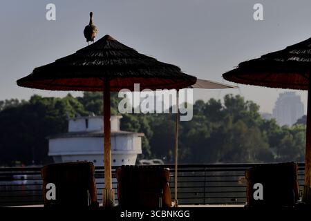 Terrace with trees above a city in a park Stock Photo - Alamy