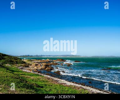 South Africa, Gansbaai, De Kelders, Boy (8-9) exploring rocky coastline ...
