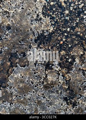 Close-up of frost textures on the ground. Frost needles Stock Photo - Alamy