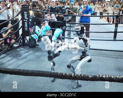 The audience visited robot boxing performances at the 2025 World Robot ...