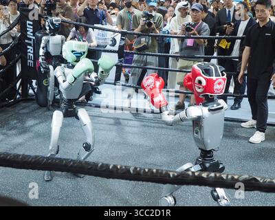 The audience visited robot boxing performances at the 2025 World Robot ...