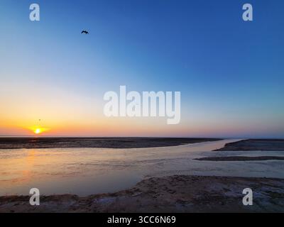 Over the wetlands of the Yellow River Delta National Nature Reserve ...