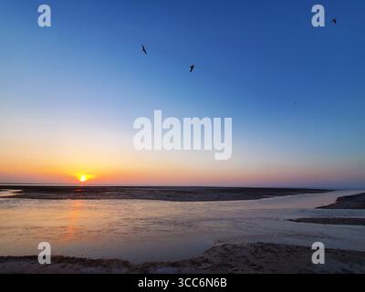 Over the wetlands of the Yellow River Delta National Nature Reserve ...