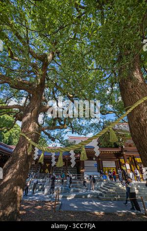 Shimenawa rope and shide zigzag streamers at the Hetsumiya shrine ...