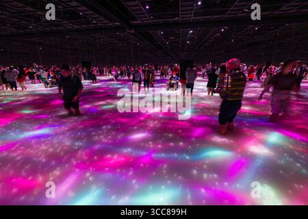 Visitors walking in ankle deep water enjoying the Dance of Koi and ...