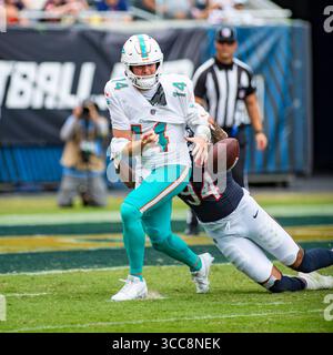 Miami Dolphins quarterback Quinn Ewers (14) walks the sidelines during ...