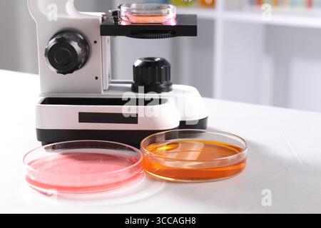 Petri dishes with different samples and microscope on white table in ...
