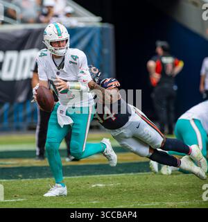 Miami Dolphins quarterback Quinn Ewers (14) leaves he field at the end ...
