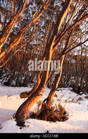 Mt St Gwinear Sunrise in Australia Stock Photo - Alamy