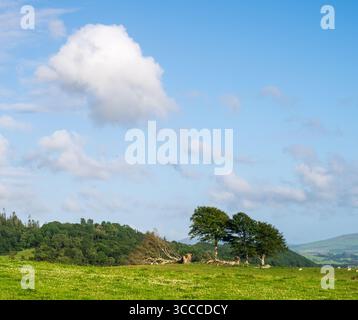Scottish countryside (Dumfries and Galloway Stock Photo - Alamy