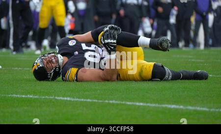 DEC 11th, 2022: Chris Wormley #95 during the Steelers vs Ravens game in ...