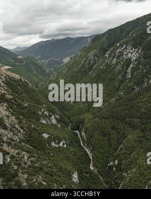 An aerial view of a dense forested valley with a tiny narrow creek ...