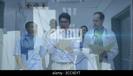 Walking medical team reading folder in hospital corridor, in white lab ...