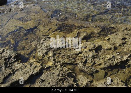 Stone texture under water Stock Photo - Alamy