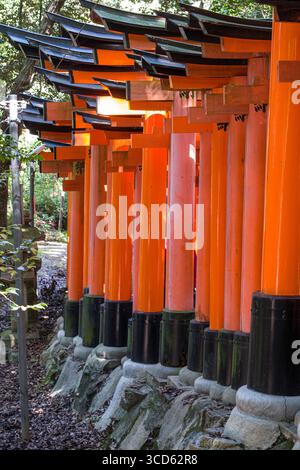 Many vermillion Shinmei-Torii along the Fushimi Inari Taisha Sembon ...