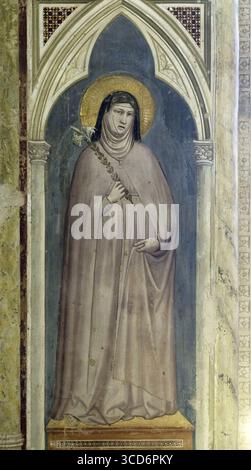 Saint, fresco in Basilica of Santa Croce (Basilica of the Holy Cross ...