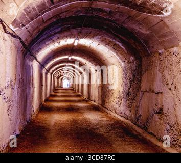 A narrow, dimly lit corridor with an arched ceiling and a small, ornate ...