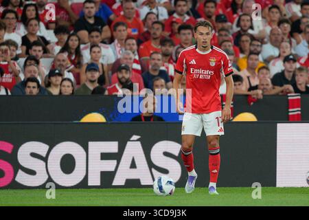 Amar DEDIC of Benfica during the UEFA Champions League, Play-offs, 2nd ...