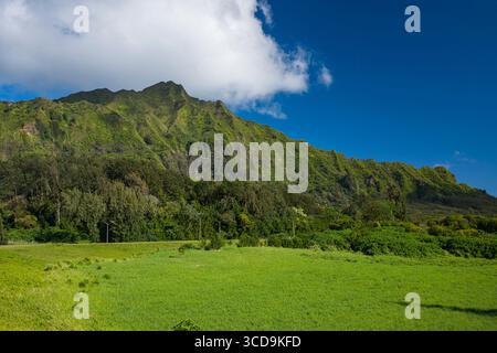 Koolau Mountain Range above Nuuanu Valley, Honolulu, Oahu, Hawaii, USA ...