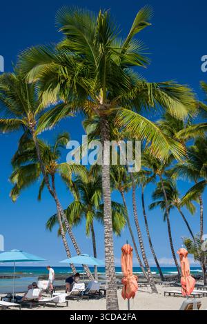 White sand beach with cocos palms, Isla Mujeres island, Caribbean Sea ...