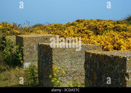 Concrete anti-tank barriers. Defense barrier. Barrier against the entry ...