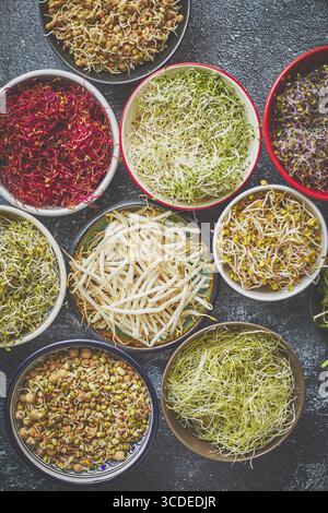 Top view of various kinds microgreens sprouts in colorful bowls. Shoots ...