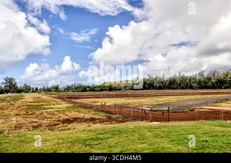 Landscapes around canals and ponds that harvest shrimp on Oahu Stock ...