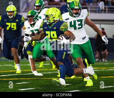 LSU running back Caden Durham (29), bottom, makes a touchdown against ...