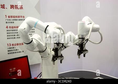 BEIJING, CHINA - AUGUST 11, 2025 - The humanoid bionic robot showcased ...