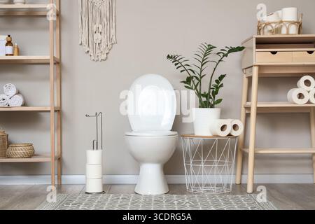 Interior of restroom with toilet bowl, tables and shelf unit Stock ...