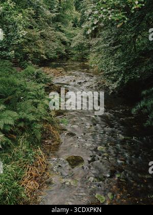 The Lyd river in the Lydford Gorge, Dartmoor, Devon, UK Stock Photo - Alamy