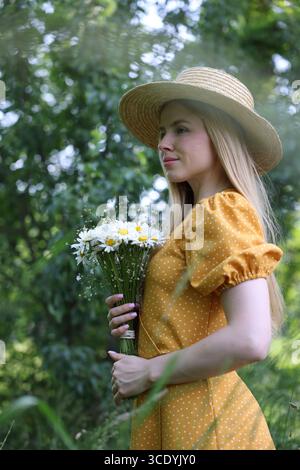 Beautiful chamomile flowers in meadow. Spring or summer nature scene ...