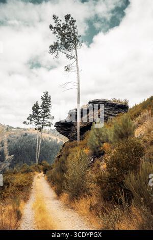 A vertical shot of a tall rock formation on the shore with the sea and ...