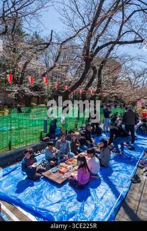 People sitting on plastic tarps enjoying the transient beauty of the ...