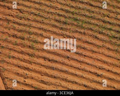 Aerial images of cityscape, landscape, and agriculture in Johor ...